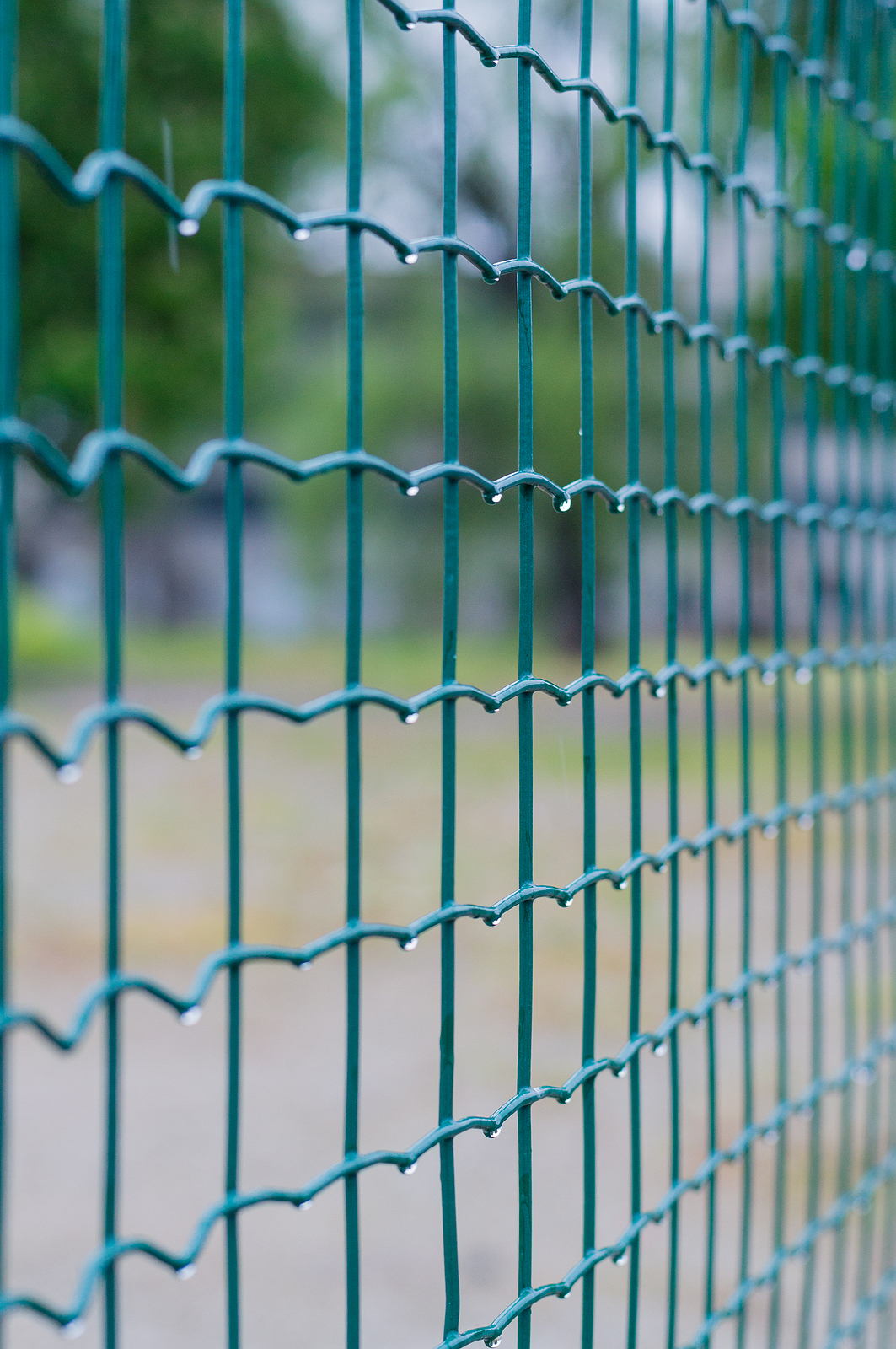 Electro-welded plasticized wire mesh 50x60 heavy t... - Cod. RM5060