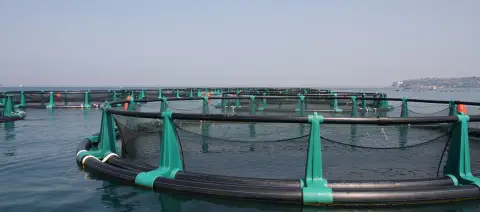 Cages for fish farming and aquaculture with a circular or sq...