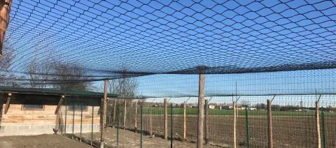 Anti-predator intrusion net and anti-avian net